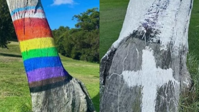 Pride painted tree vandalised with white paint and sign of the cross