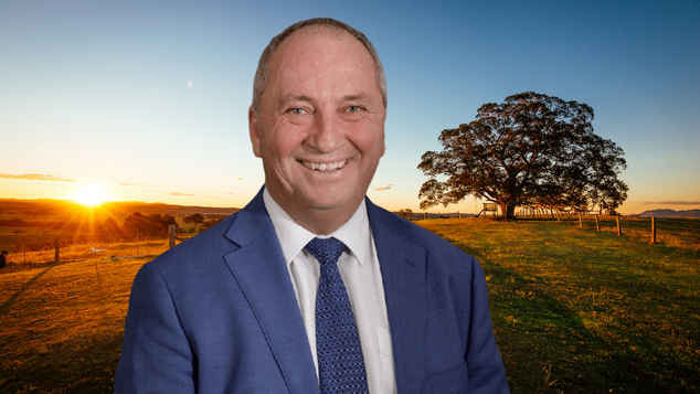 Joyce criticises Albanese's decision to march in Mardi Gras Parade