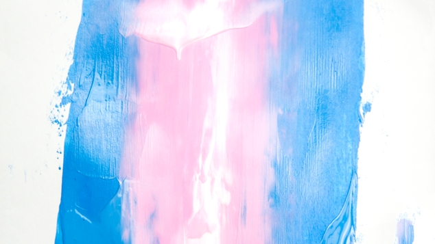 Police investigate 'Decapitate TERFs' sign at Scottish rally