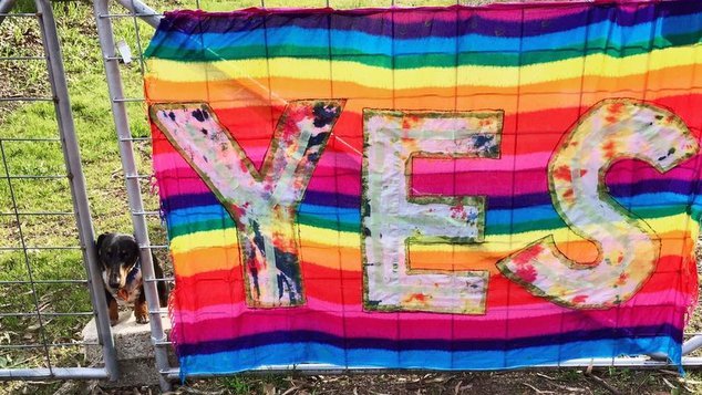 Homemade YES sign vandalised, but Perth family is undeterred